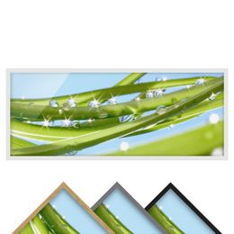 Blumen Bild mit Rahmen Fresh Green