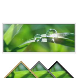 Blumen Bild mit Rahmen Green Ambiance II