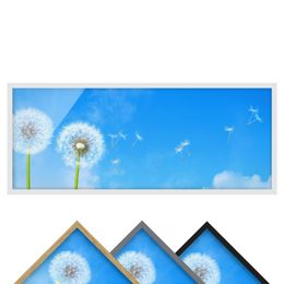 Blumen Bild mit Rahmen Flying Seeds