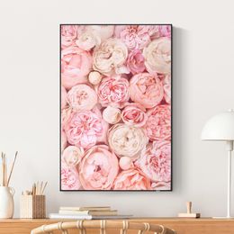 Akustik-Wechselbild Rosen Ros&eacute; Koralle Shabby