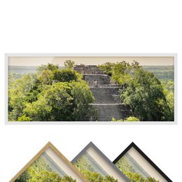 Wald Bild mit Rahmen Pyramide von Calakmul