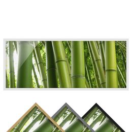 Wald Bild mit Rahmen Bamboo Trees