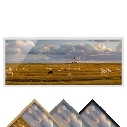 Natur & Landschaft Bild mit Rahmen Nordsee Leuchtturm mit Schafsherde