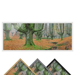 Wald Bild mit Rahmen Buchenwald im Gorbea Naturpark in Spanien