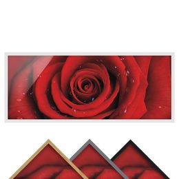 Blumen Bild mit Rahmen Rote Rose mit Wassertropfen