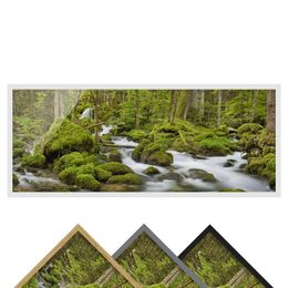 Wald Bild mit Rahmen Moosbedeckte Steine Schweiz