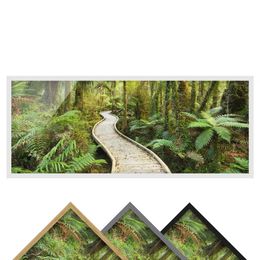 Wald Bild mit Rahmen Pfad im Urwald