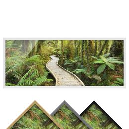 Wald Bild mit Rahmen Pfad im Urwald