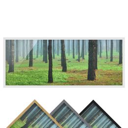 Wald Bild mit Rahmen Tiefer Wald mit Kiefern auf La Palma