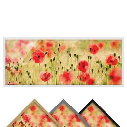 Blumen Bild mit Rahmen Summer Poppies