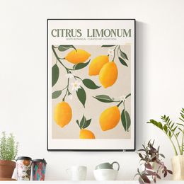 Akustik-Wechselbild Citrus Limonum