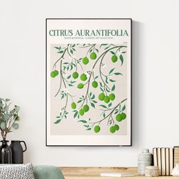 Akustik-Wechselbild Citrus Aurantifolia