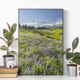 Akustik-Wechselbild Bergwiese mit roten Blumen vor Mt. Rainier