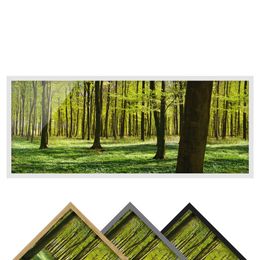 Wald Bild mit Rahmen Waldwiese