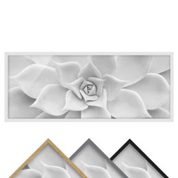 Blumen Bild mit Rahmen Kaktus Sukkulente