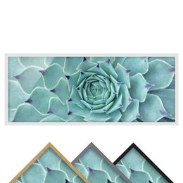 Blumen Bild mit Rahmen Kaktus Agave