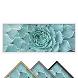 Blumen Bild mit Rahmen Kaktus Agave