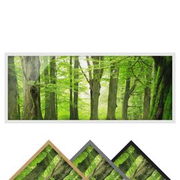 Wald Bild mit Rahmen Mighty Beech Trees