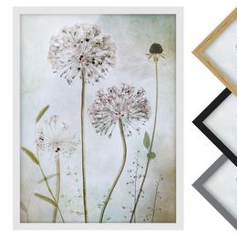 Blumen Bild mit Rahmen Lauchbl&uuml;ten in Pastell