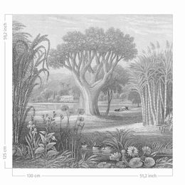Vorhang Tropischer Kupferstich Garten mit Teich in Grau - blickdichte Gardine Wald B&auml;ume Botanik Tropical Illustration Natur Vintage Wohnzimmer