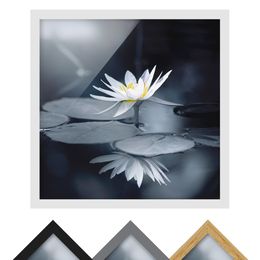 Bild mit Rahmen Lotus Spiegelung im Wasser