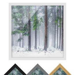 Bild mit Rahmen Nadelb&auml;ume im Winter