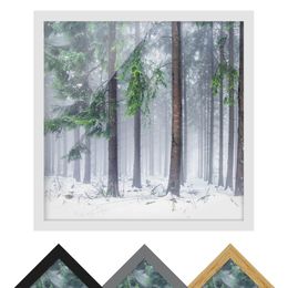 Bild mit Rahmen Nadelb&auml;ume im Winter