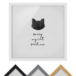 Bild mit Rahmen Haustier Zitat Sorry My Cat Said No