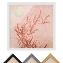 Bild mit Rahmen Goldene Sonne mit Rosa Bambus