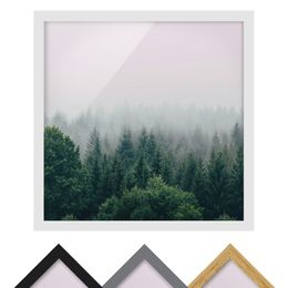 Bild mit Rahmen Wald im Nebel D&auml;mmerung