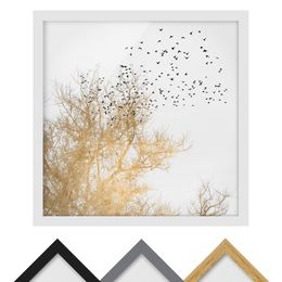Bild mit Rahmen Vogelschwarm vor goldenem Baum