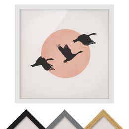 Bild mit Rahmen V&ouml;gel vor rosa Sonne III