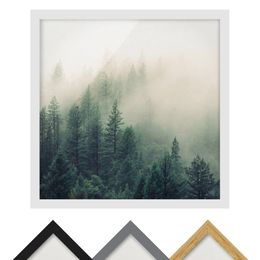 Bild mit Rahmen Wald im Nebel Erwachen