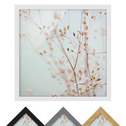 Bild mit Rahmen Pastellknospen am Wildblumenzweig