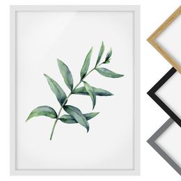 Bild mit Rahmen Aquarell Eucalyptus I