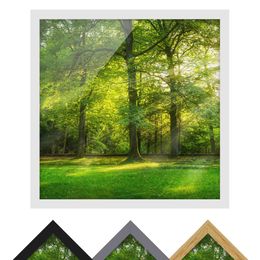 Bild mit Rahmen Spaziergang im Wald