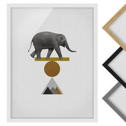 Bild mit Rahmen Balancekunst Elefant