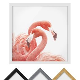 Bild mit Rahmen Zwei Flamingos