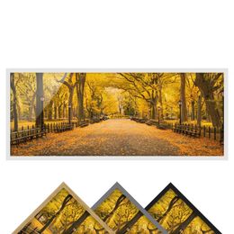 Bild mit Rahmen Herbst im Central Park