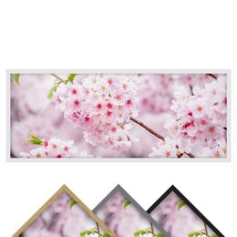 Bild mit Rahmen Japanische Kirschbl&uuml;ten