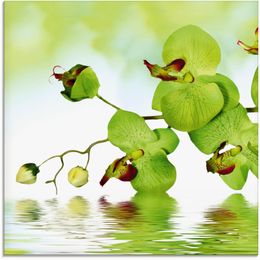 Glasbild Artland "Schöne Orchidee mit grünem Hintergrund", grün (farbe bild(er): grün), B:20cm H:20cm, Bilder, in verschiedenen Größen