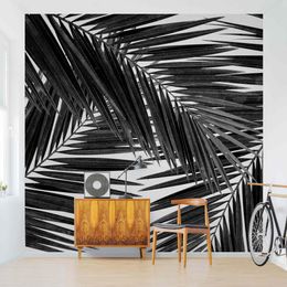 Fototapete Blick durch Palmenbl&auml;tter schwarz wei&szlig; - Vliestapete nach Ma&szlig; Botanik Tropical Natur Wohnzimmer Schlafzimmer Bad Badezimmer K&uuml;che Flur