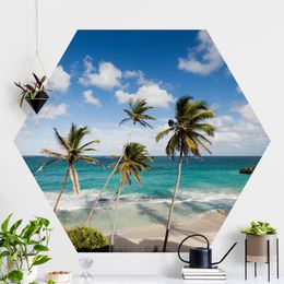 Hexagon Fototapete selbstklebend Beach of Barbados