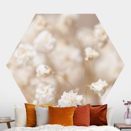 Hexagon Fototapete selbstklebend Bl&uuml;tentr&auml;ume in Creme