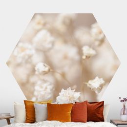 Hexagon Fototapete selbstklebend Bl&uuml;tentr&auml;ume in Creme