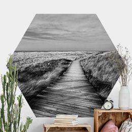 Hexagon Fototapete selbstklebend D&uuml;nenweg auf Sylt II