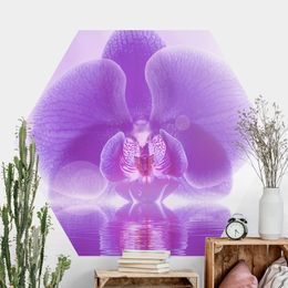 Hexagon Fototapete selbstklebend Lila Orchidee auf Wasser