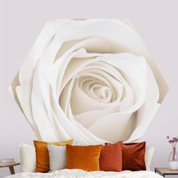 Hexagon Fototapete selbstklebend Pretty White Rose