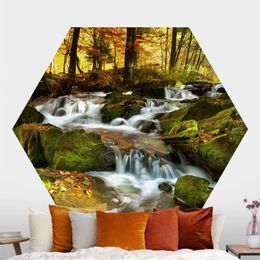 Hexagon Fototapete selbstklebend Wasserfall herbstlicher Wald