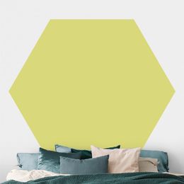 Hexagon Fototapete selbstklebend Pastellgr&uuml;n